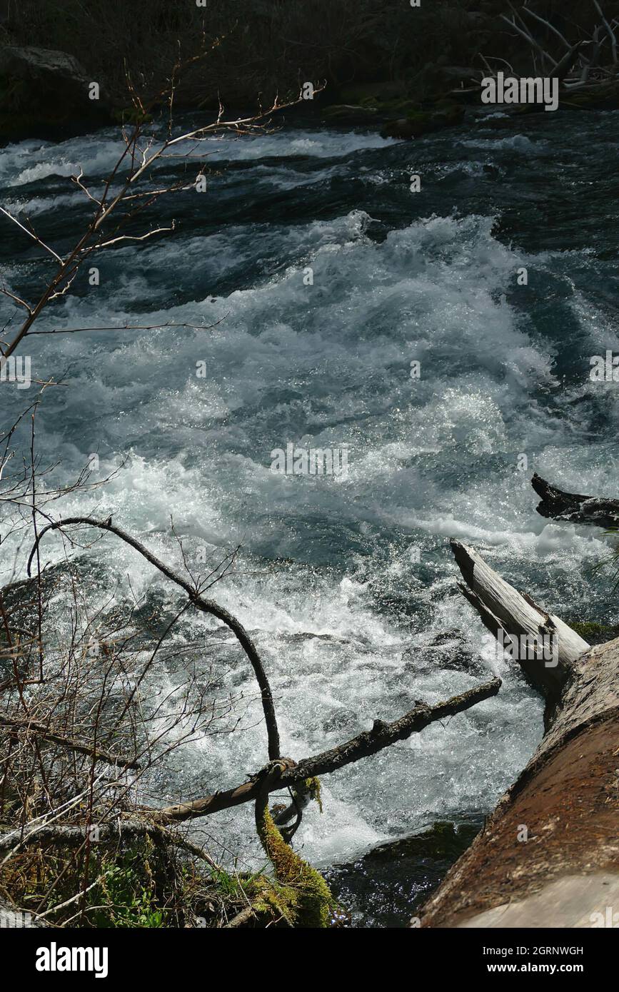 Beautiful view of Metolius River in Central Oregon, United States Stock ...