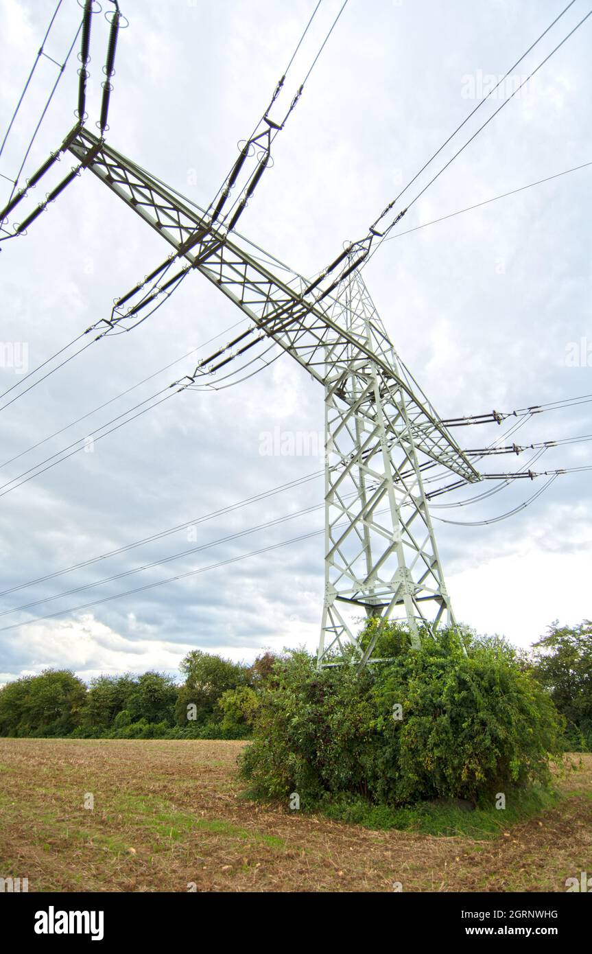 Vertical shot of a high voltage pylon on a field with power lines Stock ...