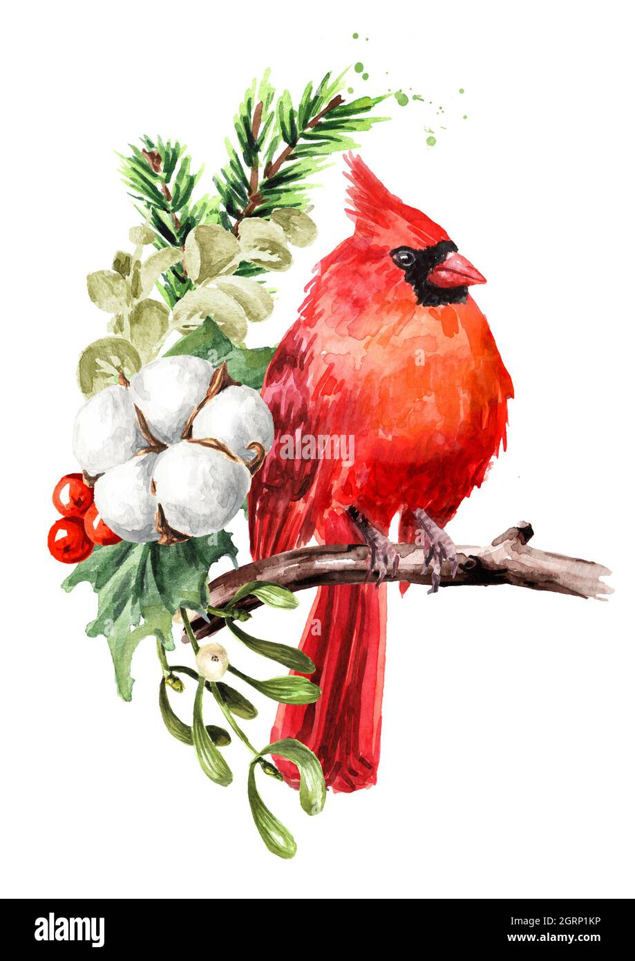 Red bird Cardinal with Winter bouquet, Hand drawn watercolor ...