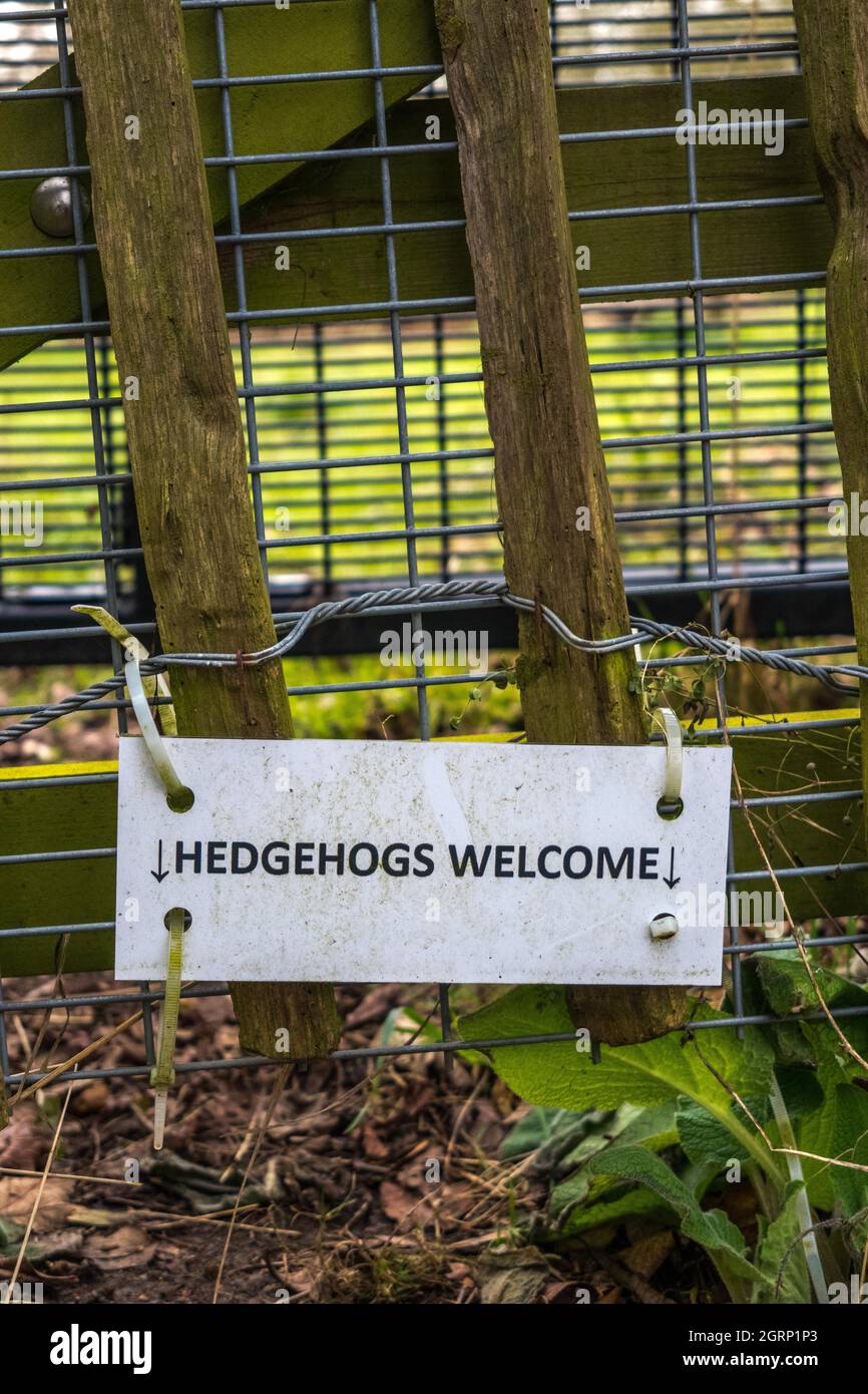 Hedgehog gap fence hi-res stock photography and images - Alamy