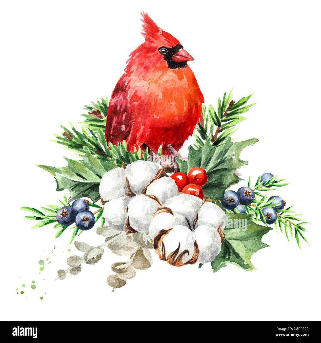 Winter Cardinal Wallpaper