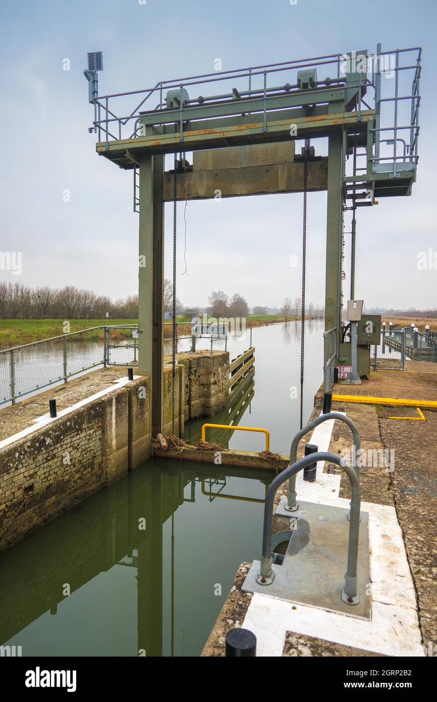 Staunch hi-res stock photography and images - Alamy