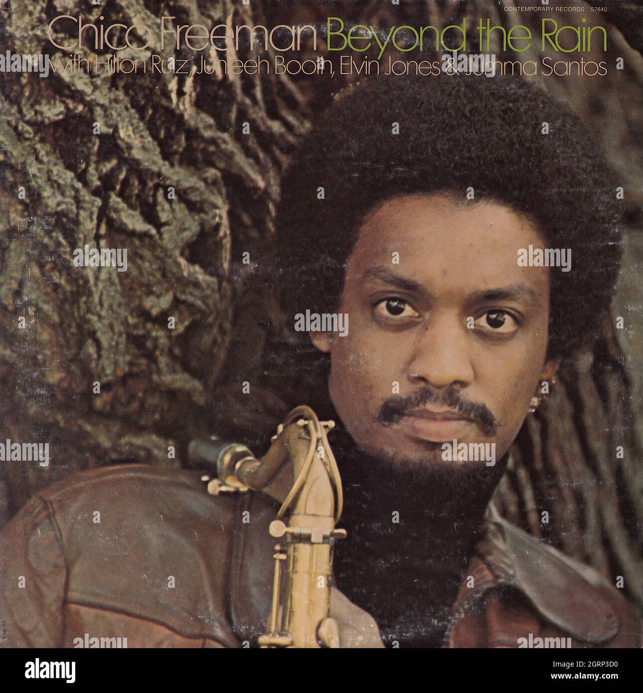 Chico freeman hi-res stock photography and images - Alamy