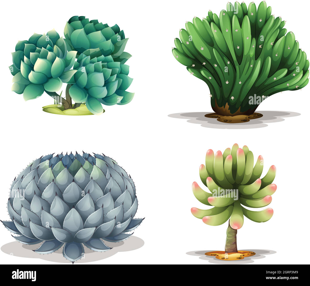 Landscaping cacti Stock Vector Images - Alamy