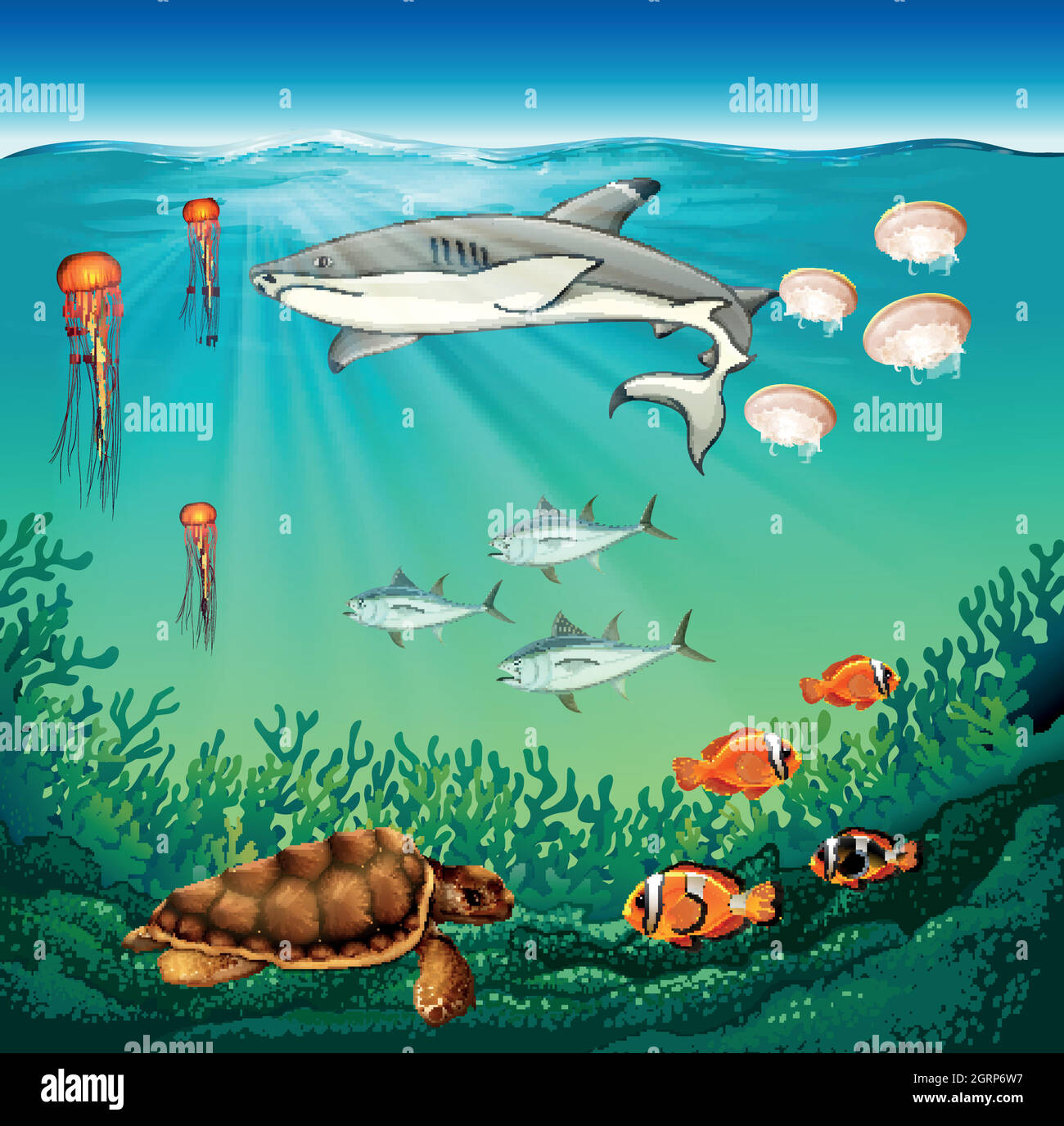 Aqua animals Stock Vector Images - Alamy