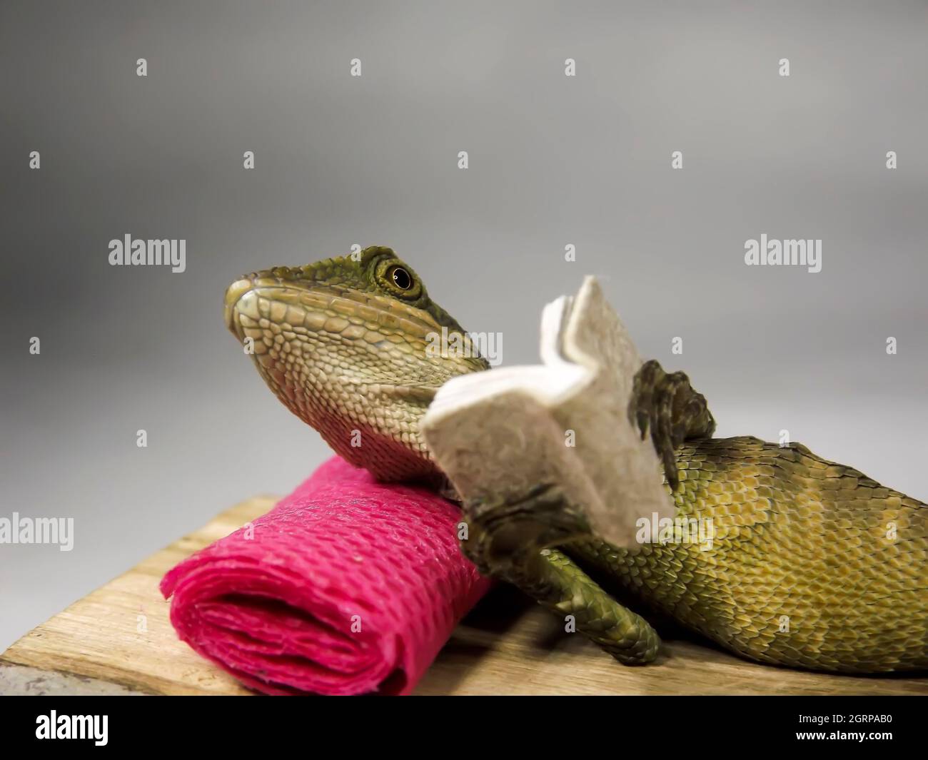 Oops😬😬😅looks like I accidentally too a picture of myself while reading ...