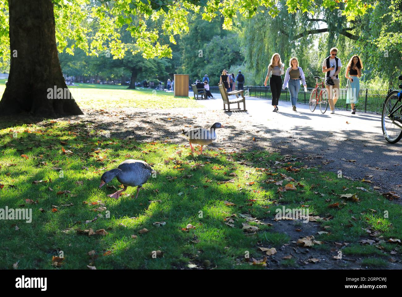 Indian locals london hi-res stock photography and images - Alamy