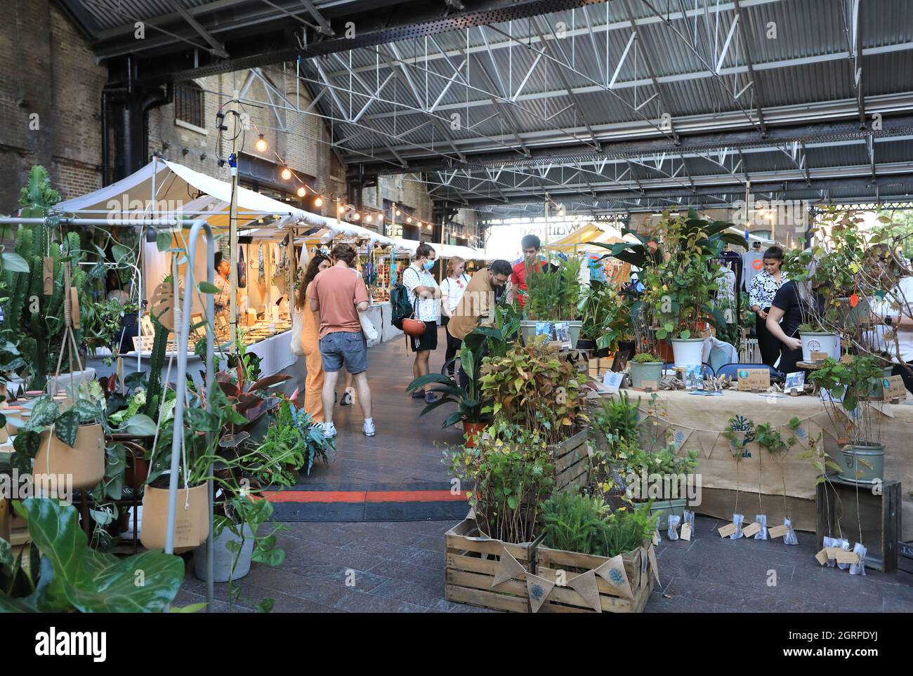 Special plant sale as part of West Handyside Canopy Market, at Kings ...