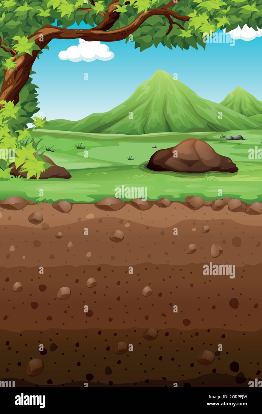 Nature forest field Stock Vector Images - Alamy