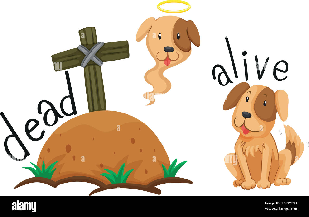 Both alive dead Cut Out Stock Images & Pictures - Alamy