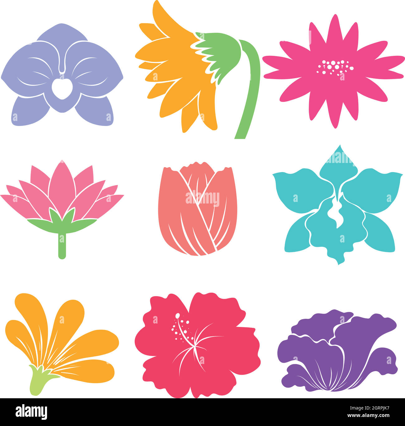 Types of flowers Stock Vector Images - Alamy