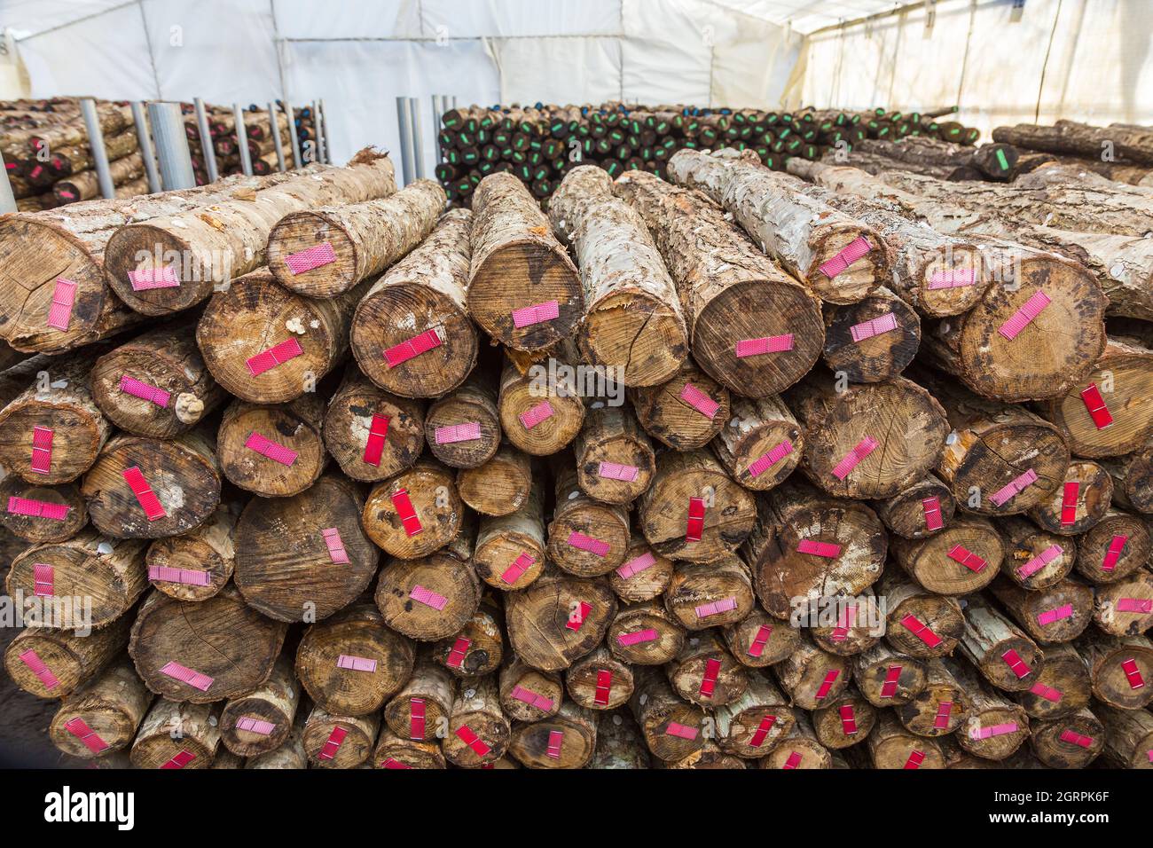 Wood lumber labeled hi-res stock photography and images - Alamy
