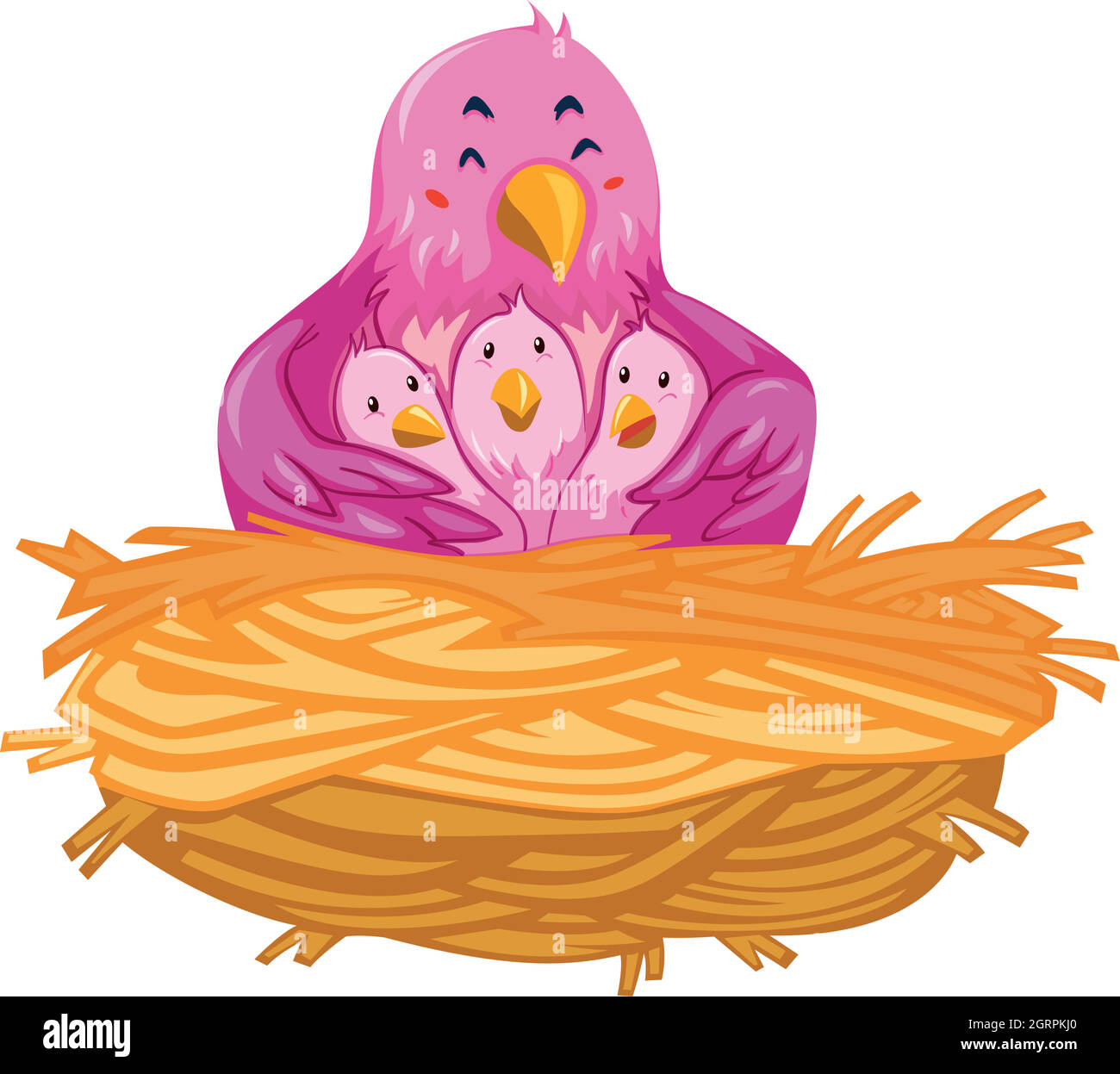 Tropical birds nest Stock Vector Images - Alamy