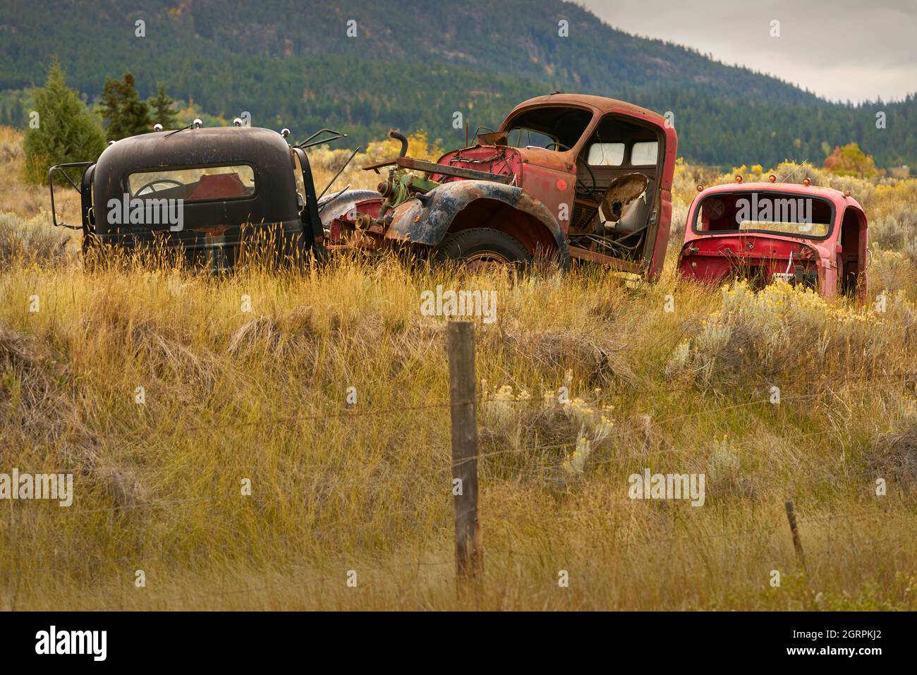 Ranchland Abandoned Trucks. Old abandoned trucks in the Pacific ...