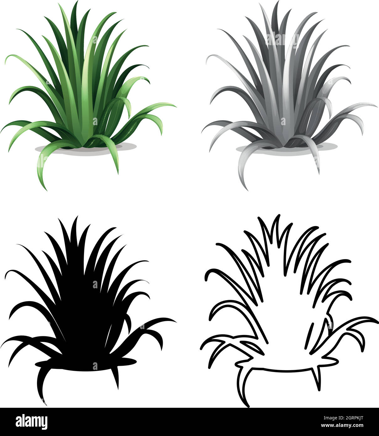 White line on green grass Stock Vector Images - Alamy