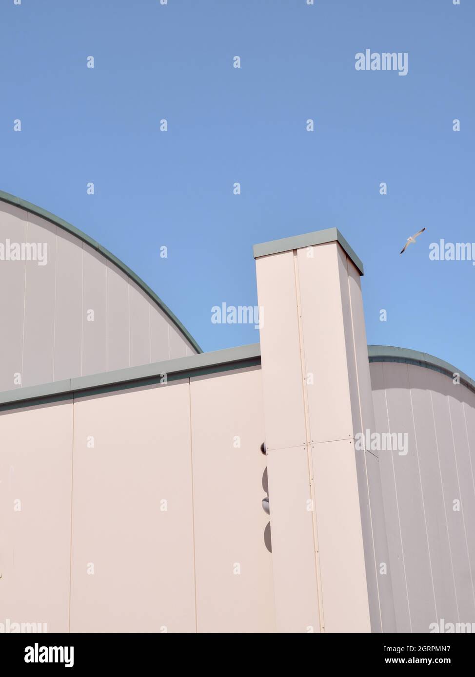 Modern minimal building abstract with flying seagull Stock Photo - Alamy