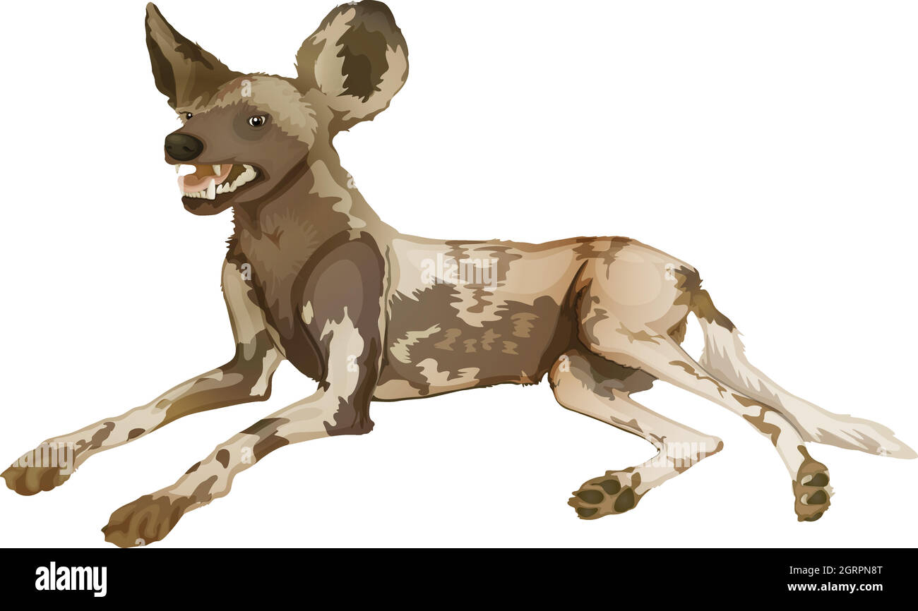 African wildlife education Cut Out Stock Images & Pictures - Alamy