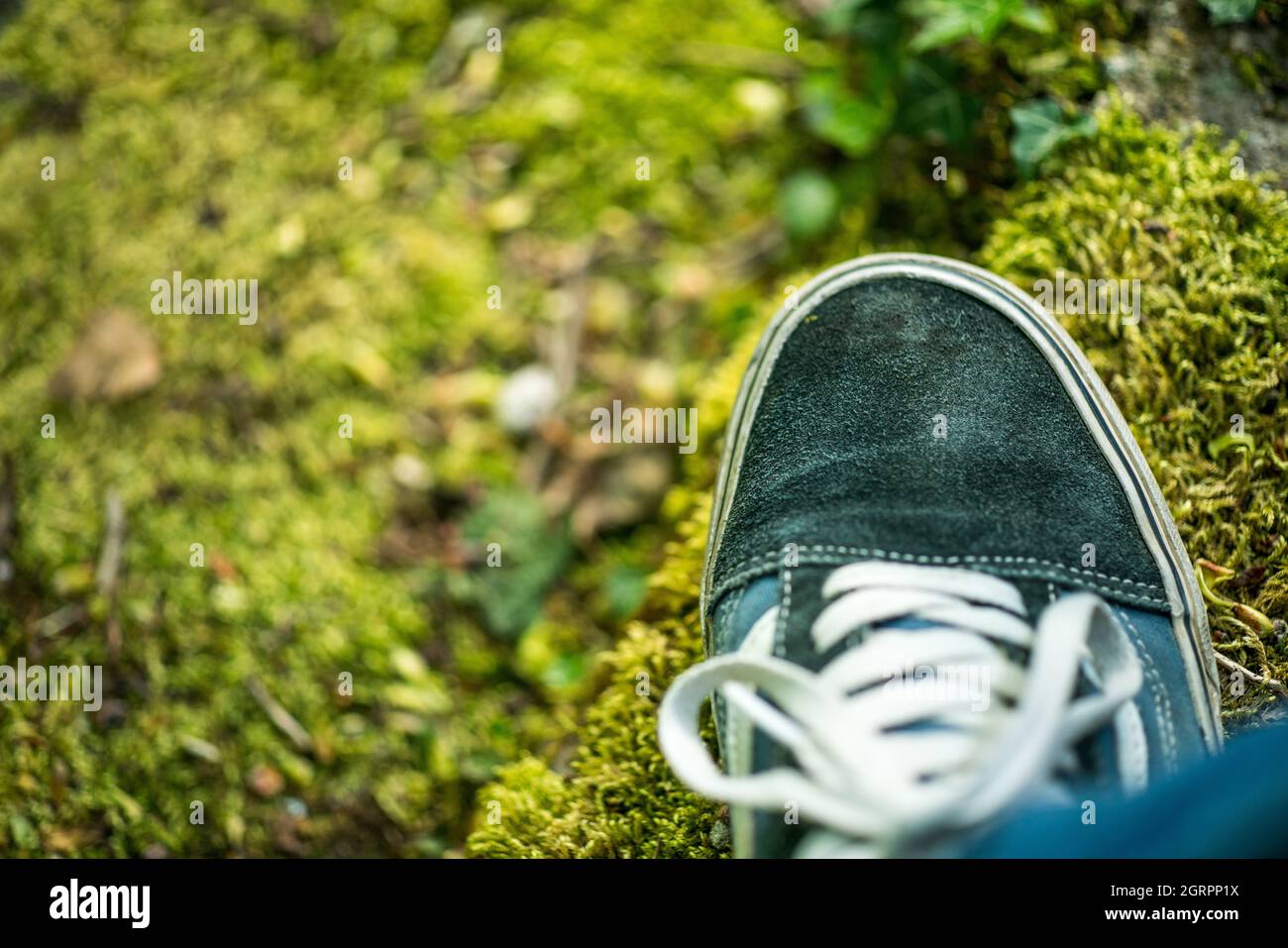 Moss on shoe hi-res stock photography and images - Alamy
