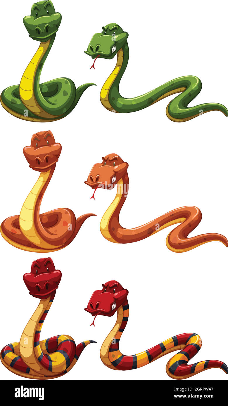 Collection of snakes Stock Vector Images - Alamy