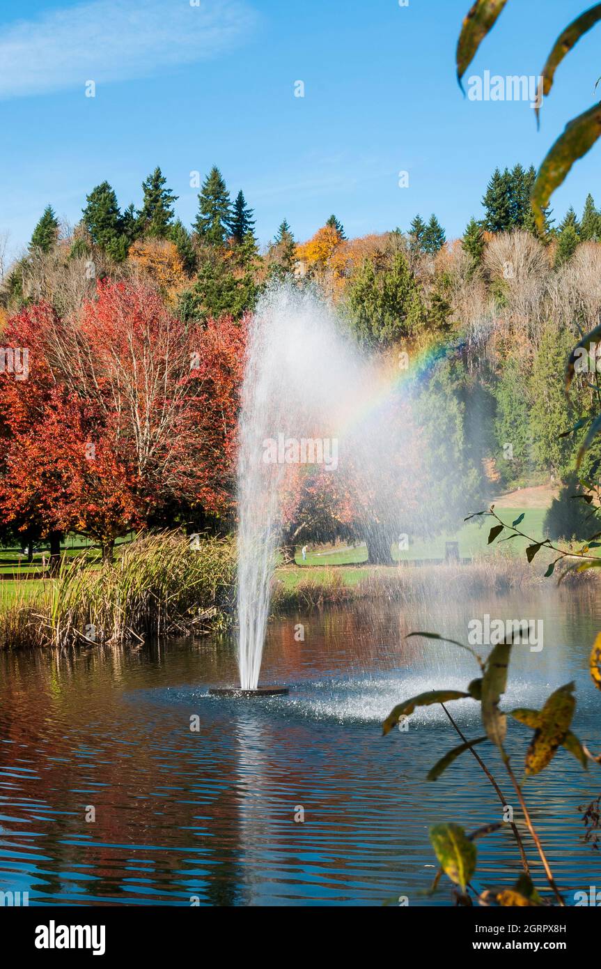 Water fountain feature at a golf course in Fairwood, Washington Stock ...