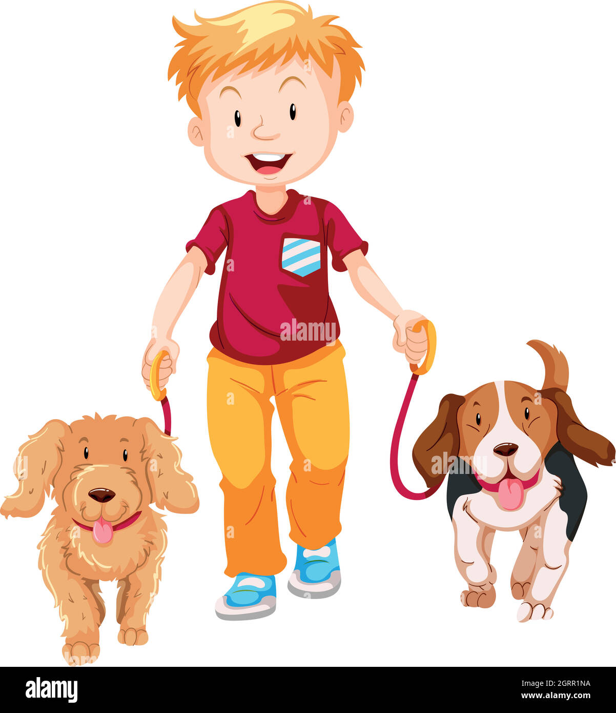 Boy walking two dogs Stock Vector Image & Art - Alamy