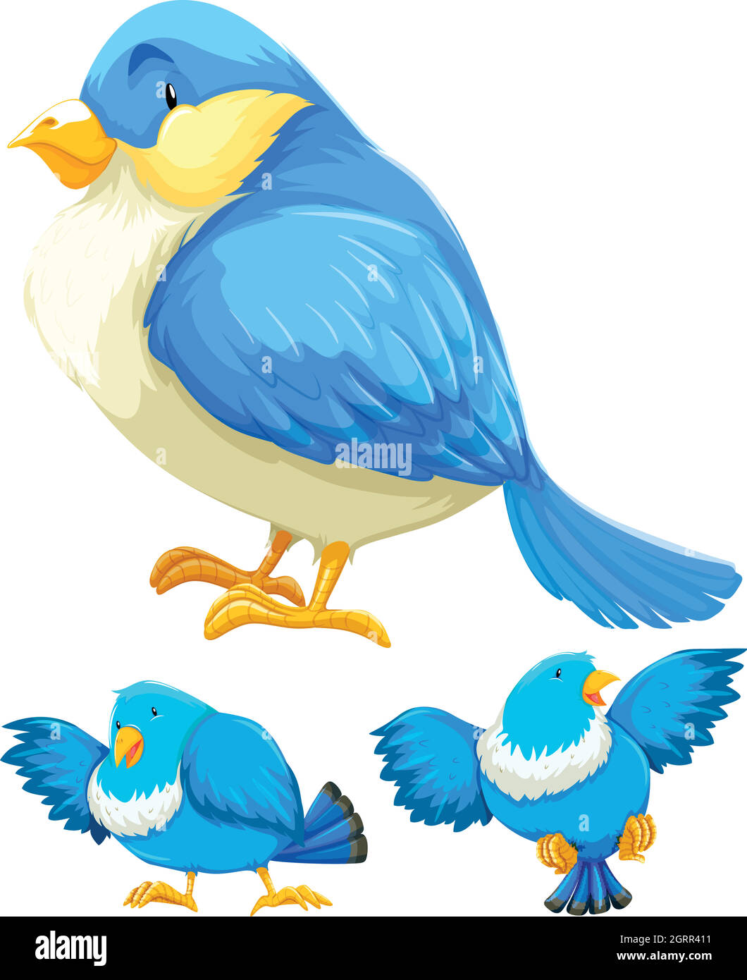 Blue tropical bird Stock Vector Images - Alamy