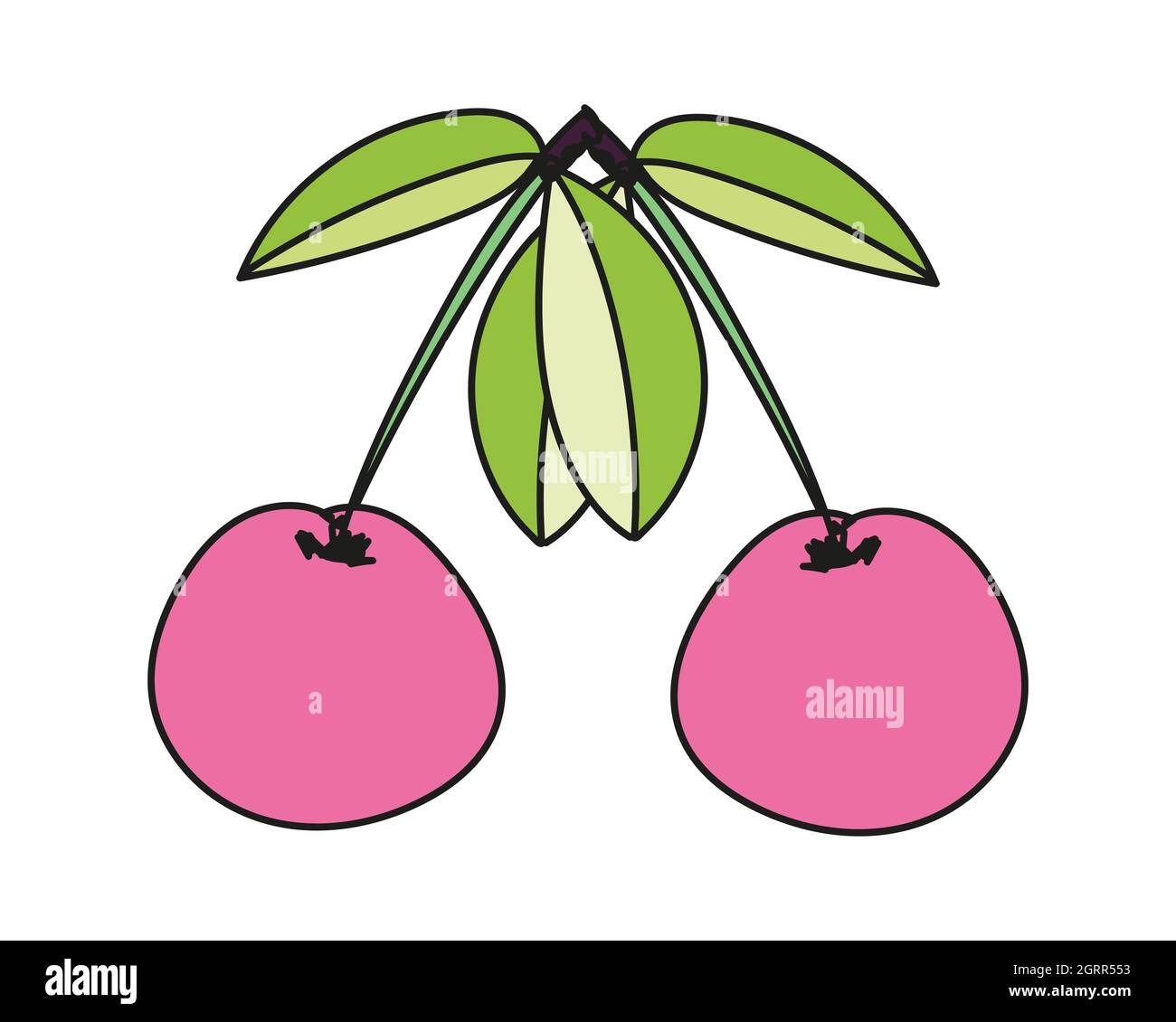 Vector illustration of a pair of cherries or sweet cherries in doodle ...