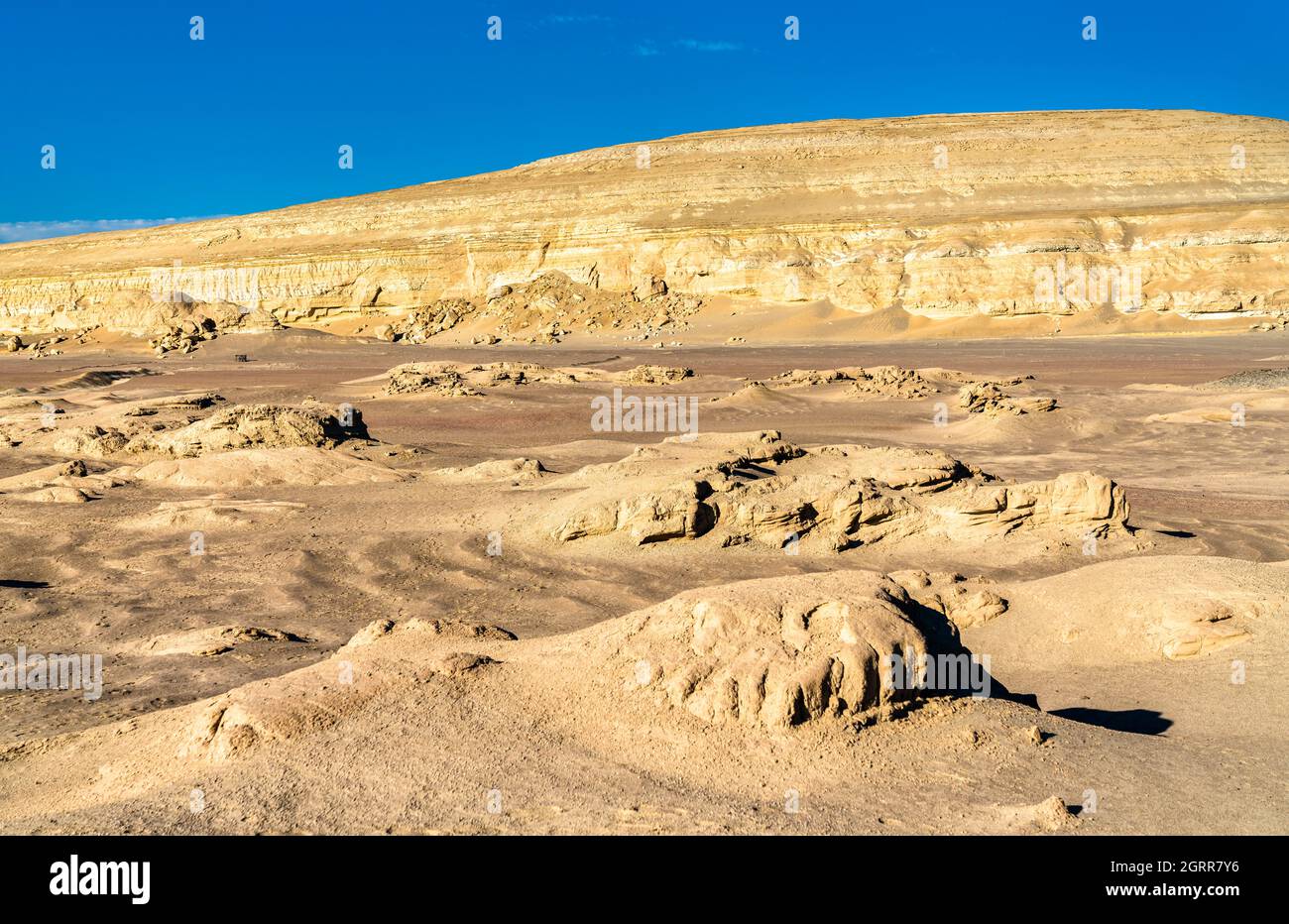 Whale fossil in desert hi-res stock photography and images - Alamy