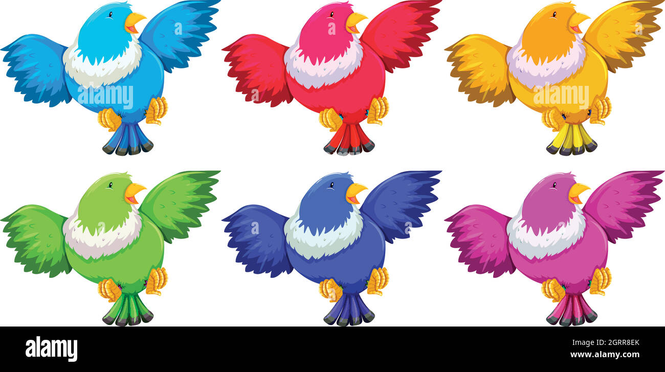 Birds with six colors on white background Stock Vector Image & Art - Alamy