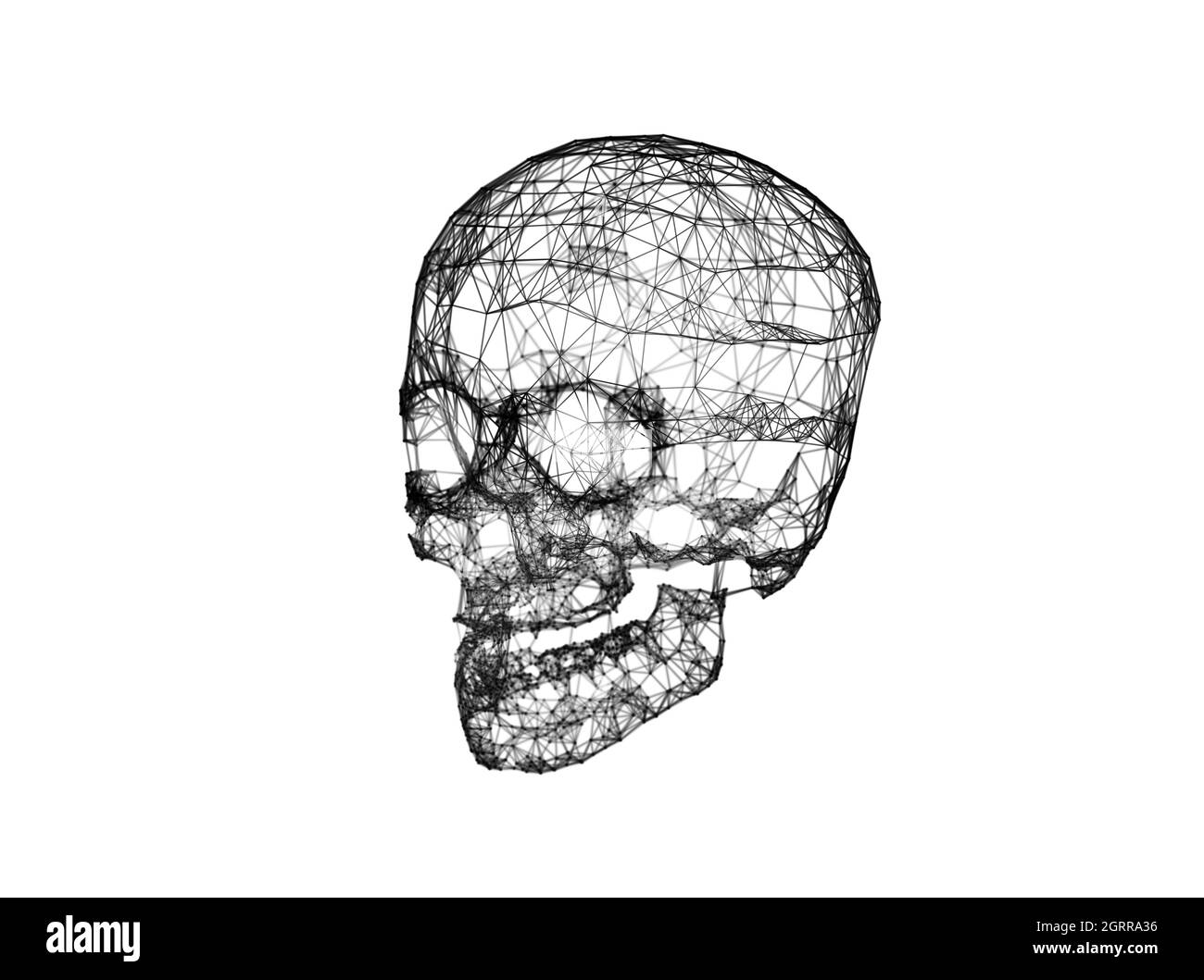 Skull Illustration High Resolution Stock Photography and Images - Alamy