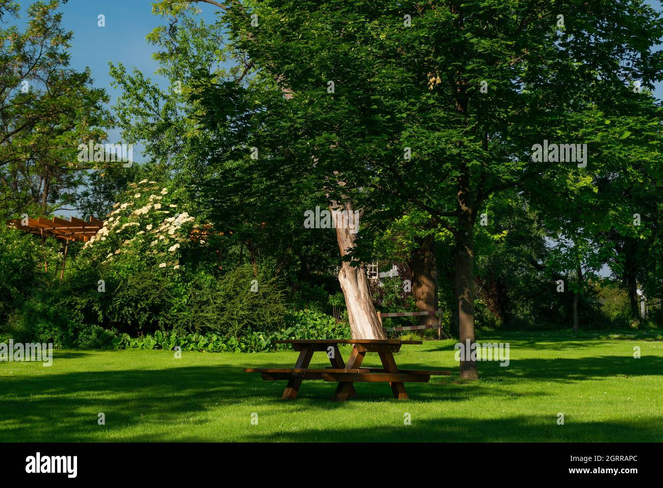 Picnic wooden benches in park, springtime in Donaupark in Vienna ...