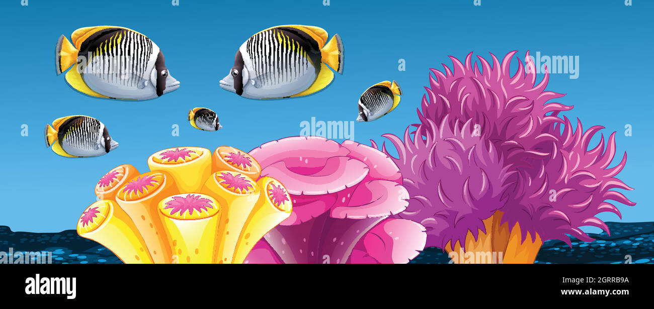 Blue sea coral Stock Vector Images - Alamy
