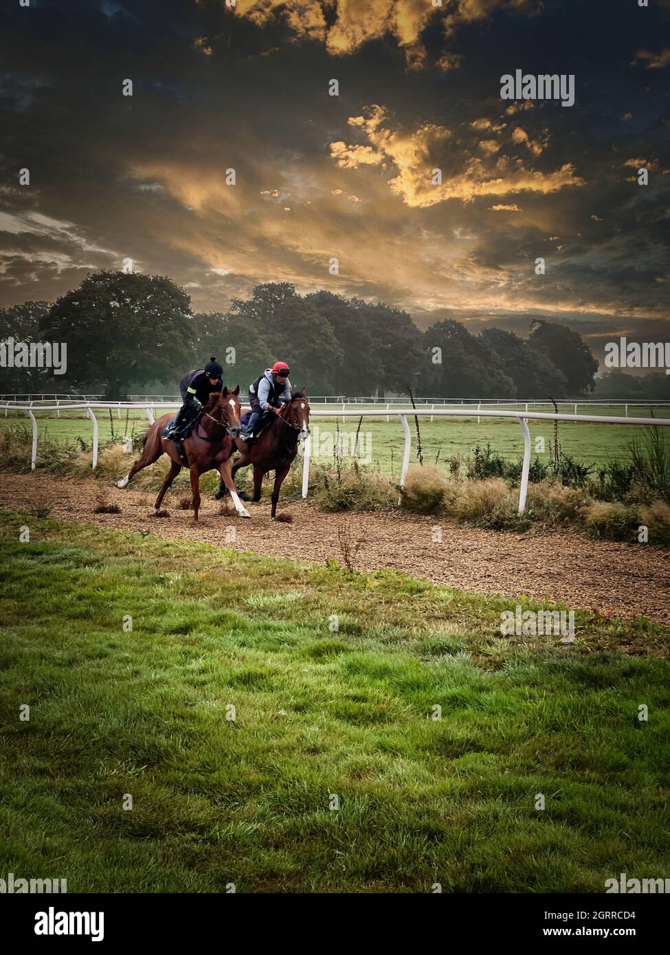 Training on the gallops hi-res stock photography and images - Alamy