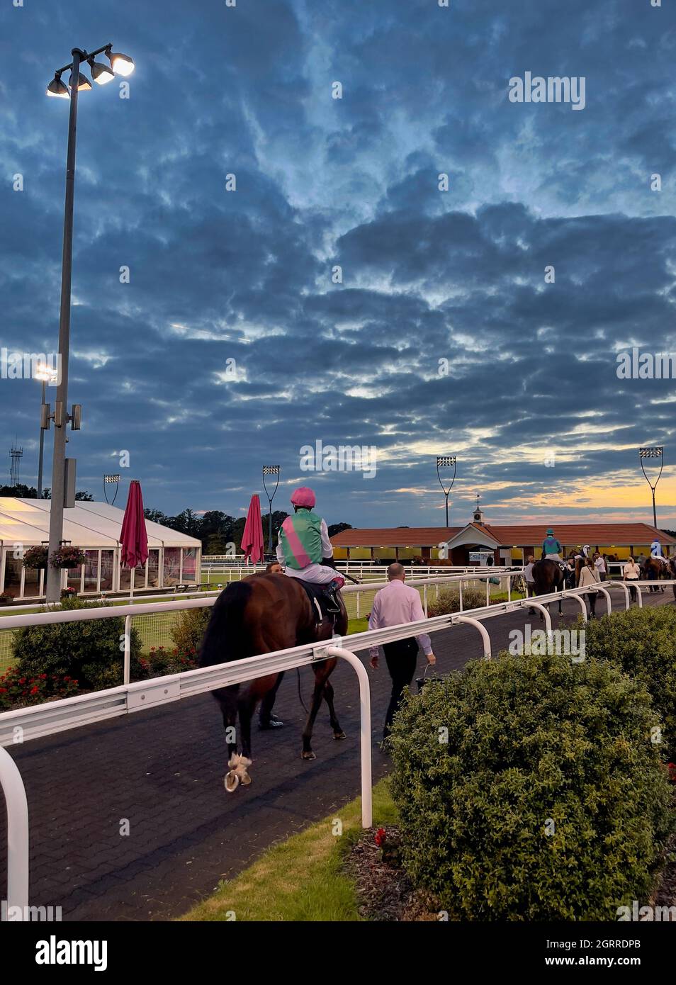 Horse racing races evening racing hi-res stock photography and images ...