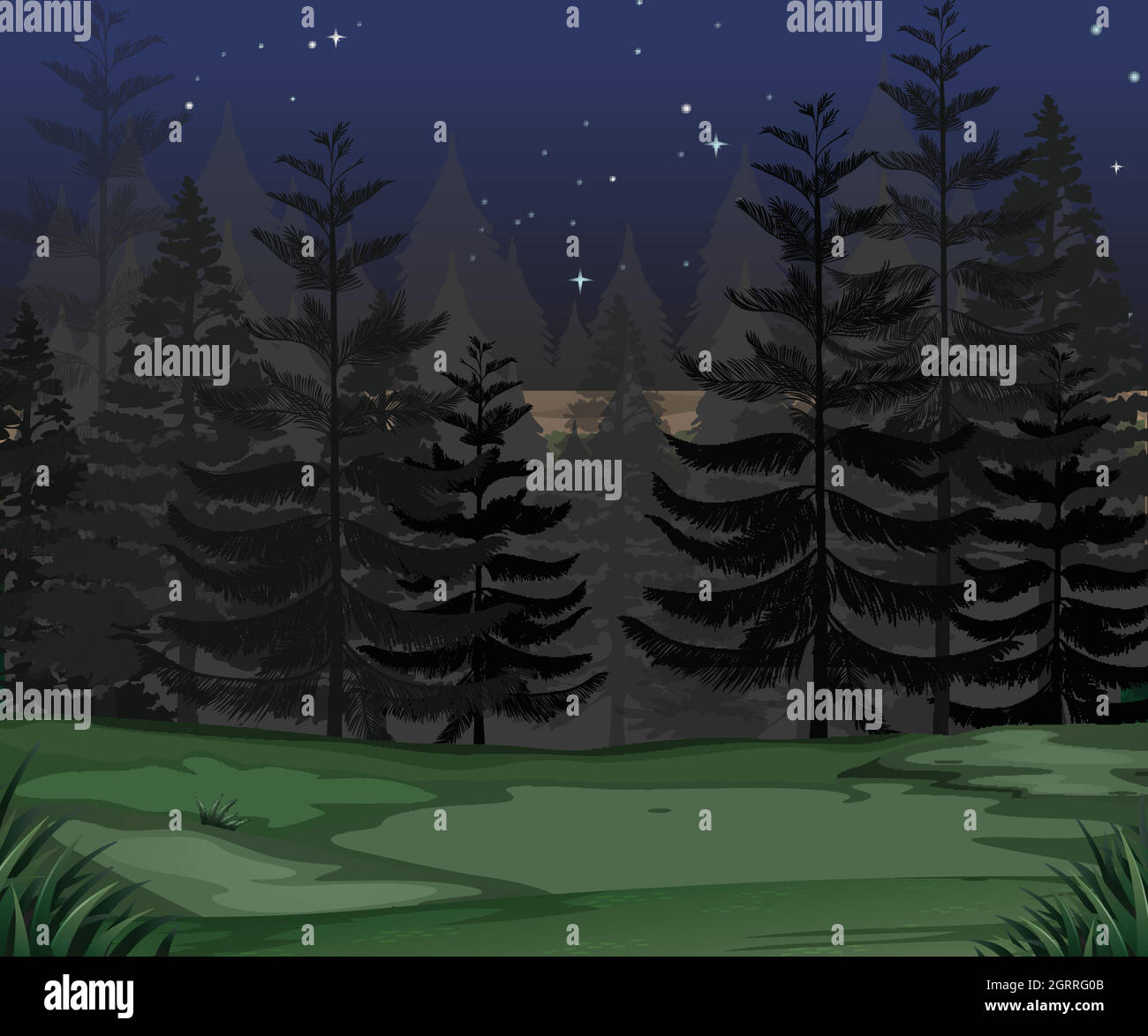 A Mystery Forest Dark Night Stock Vector Image & Art - Alamy