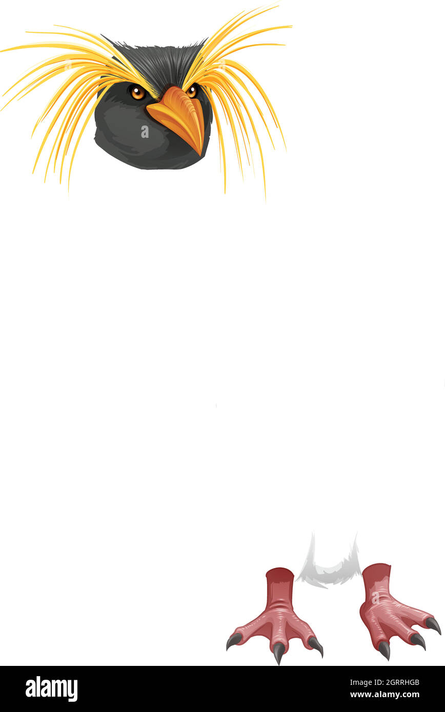 The rockhopper penguin Stock Vector Images - Alamy