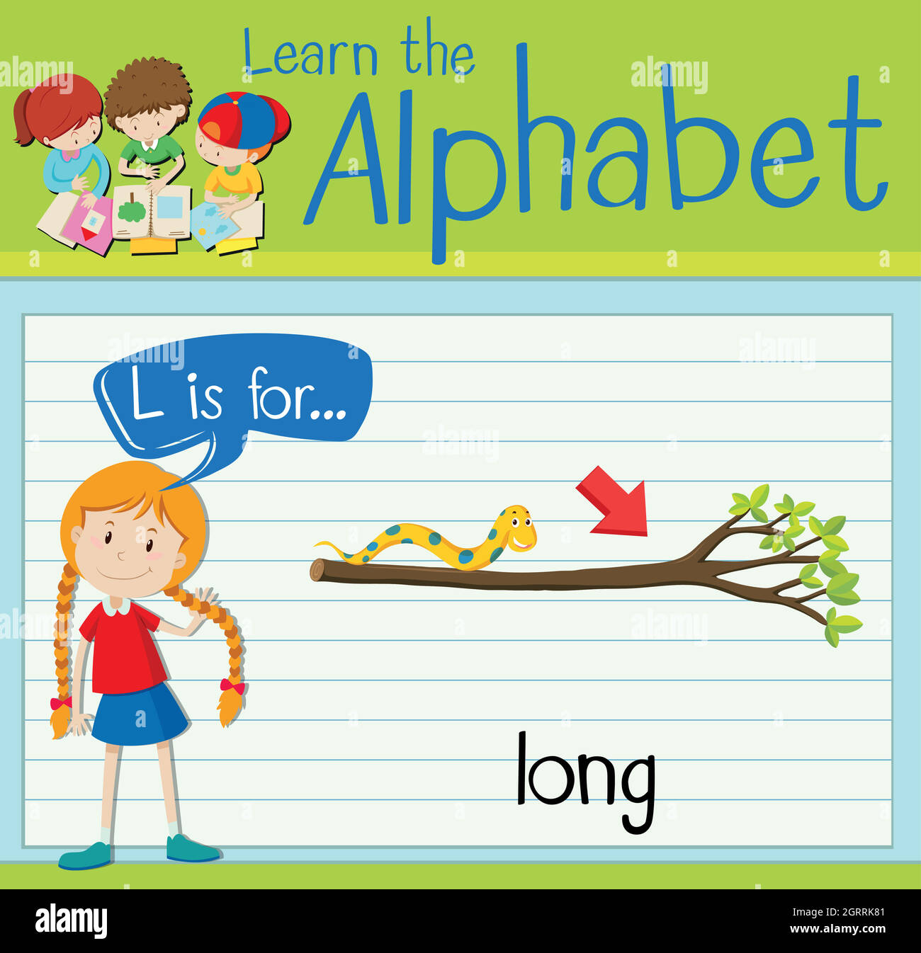 Flashcard letter L is for long Stock Vector Image & Art - Alamy