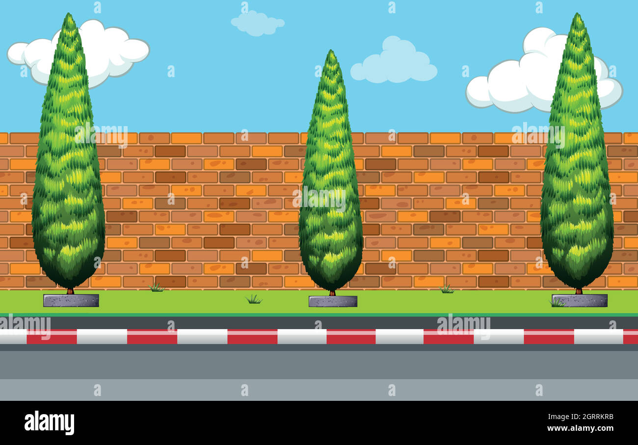 Grass pine Stock Vector Images - Alamy