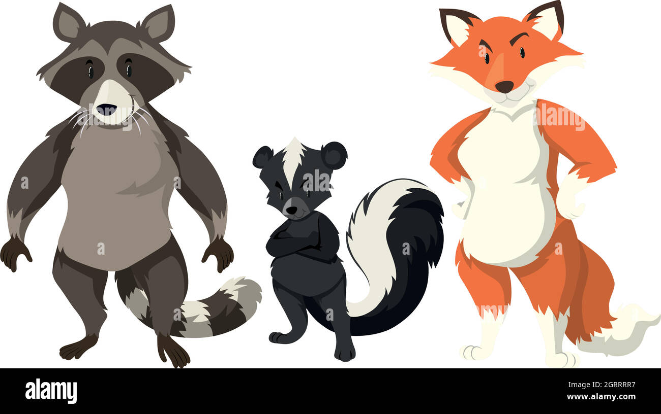 Three types of wild animals Stock Vector Image & Art - Alamy