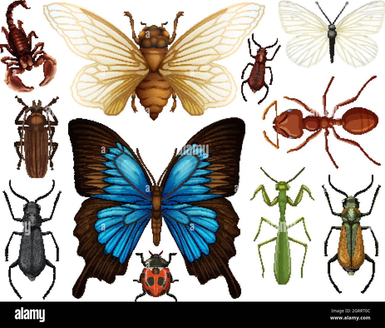 Different insects collection isolated on white background Stock Vector ...