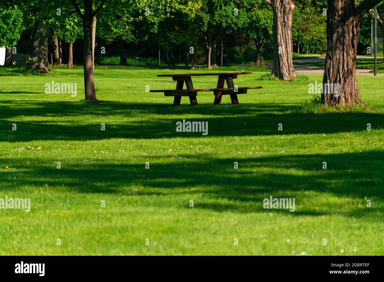 Picnic wooden benches in park, springtime in Donaupark in Vienna ...