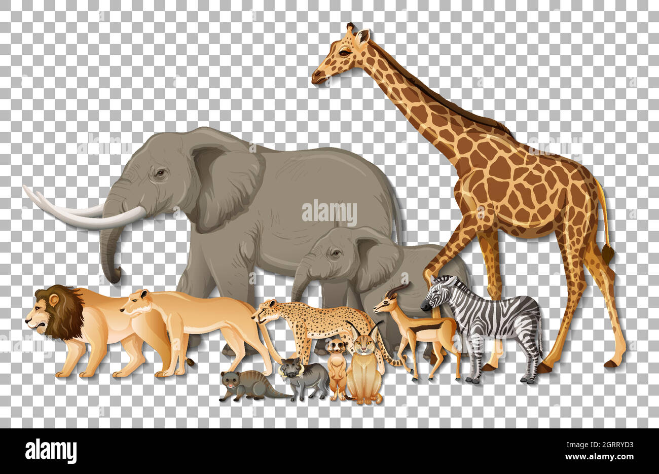 Group of wild African animals on transparent background Stock Vector ...
