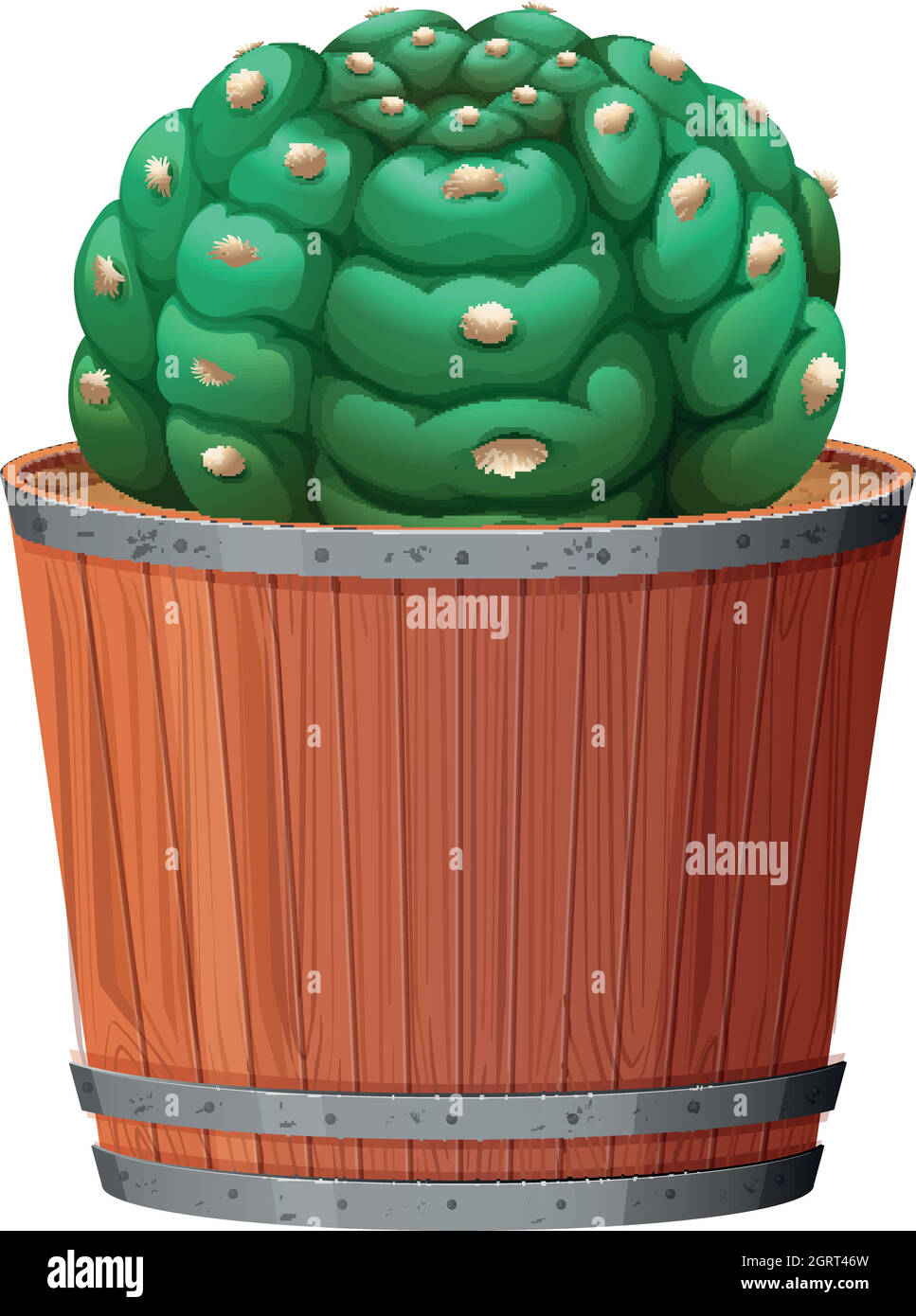 Cactus in pot set Stock Vector Images - Alamy