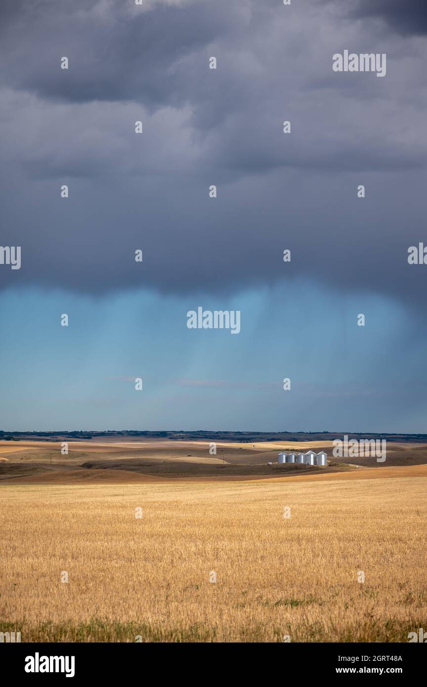 Agricultural fields in fall after harvest Stock Photo - Alamy