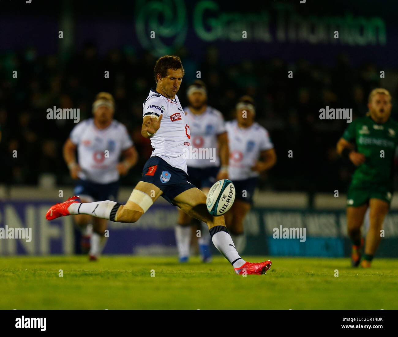 Johan goosen bulls hi-res stock photography and images - Alamy