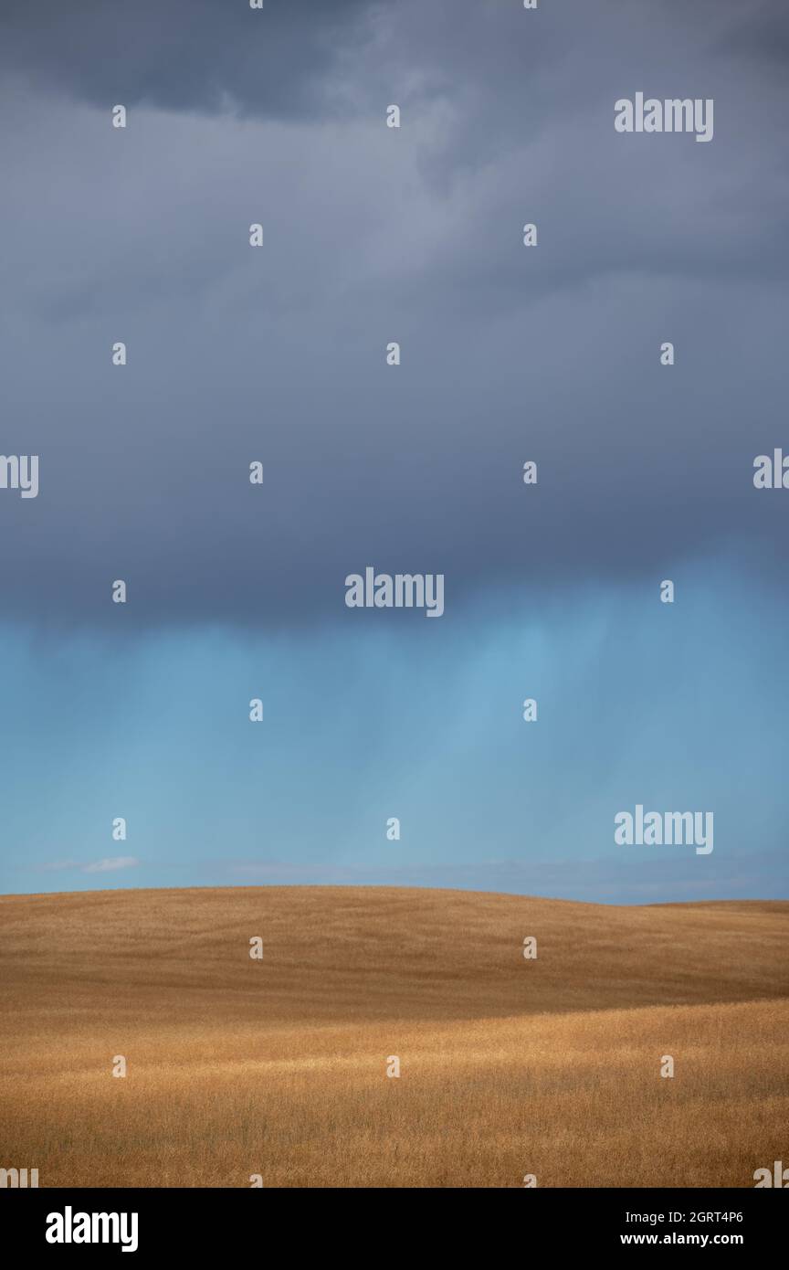 Agricultural fields in fall after harvest Stock Photo - Alamy