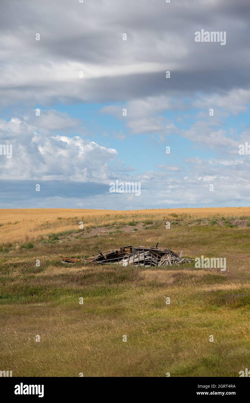 Fall in alberta hi-res stock photography and images - Alamy