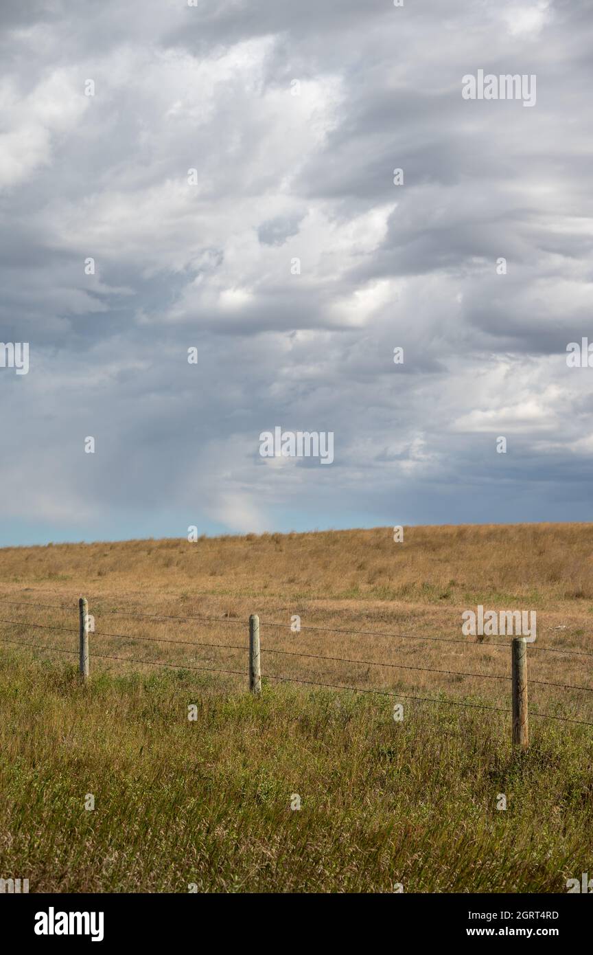 Fall in alberta hi-res stock photography and images - Alamy
