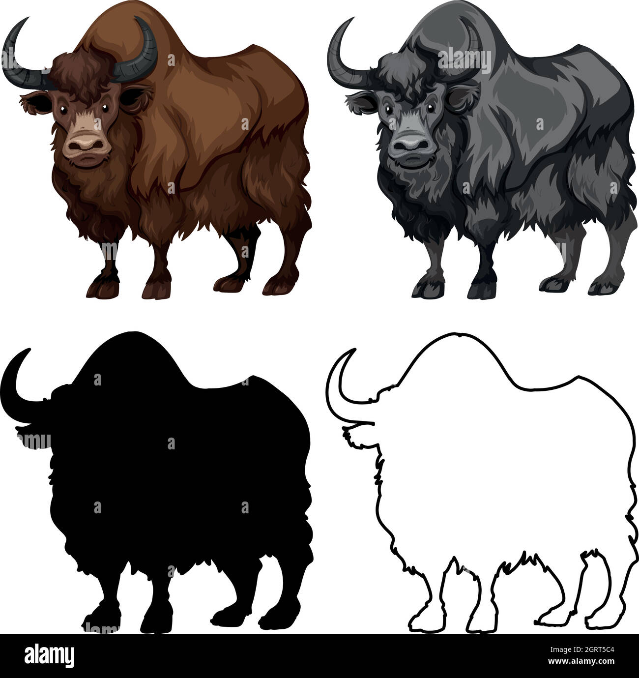 Grey yak Stock Vector Images - Alamy