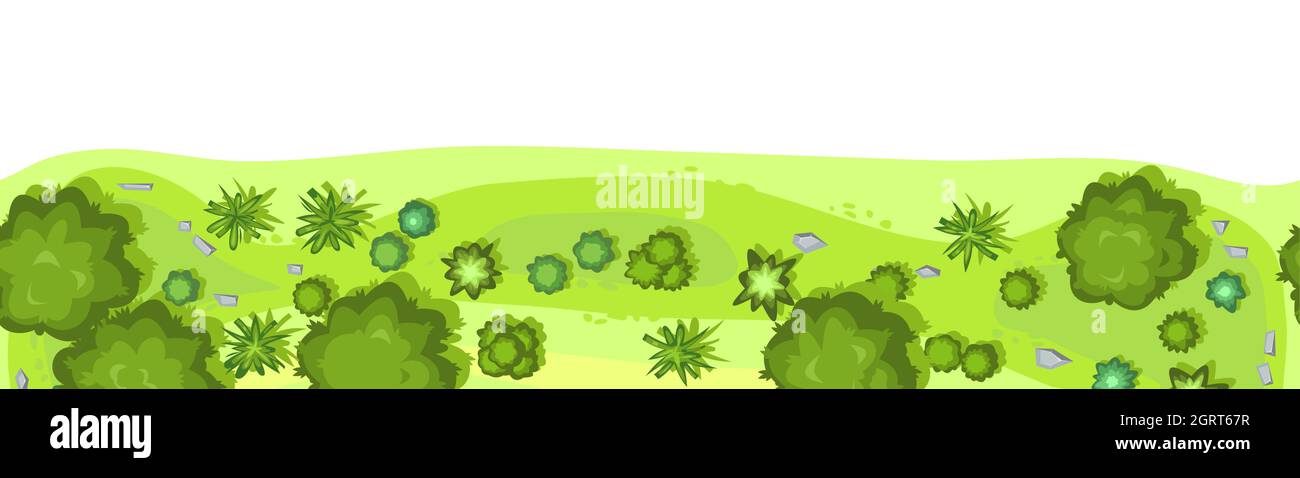 Jungle forest top view. Horizontal seamless composition. Overgrown ...